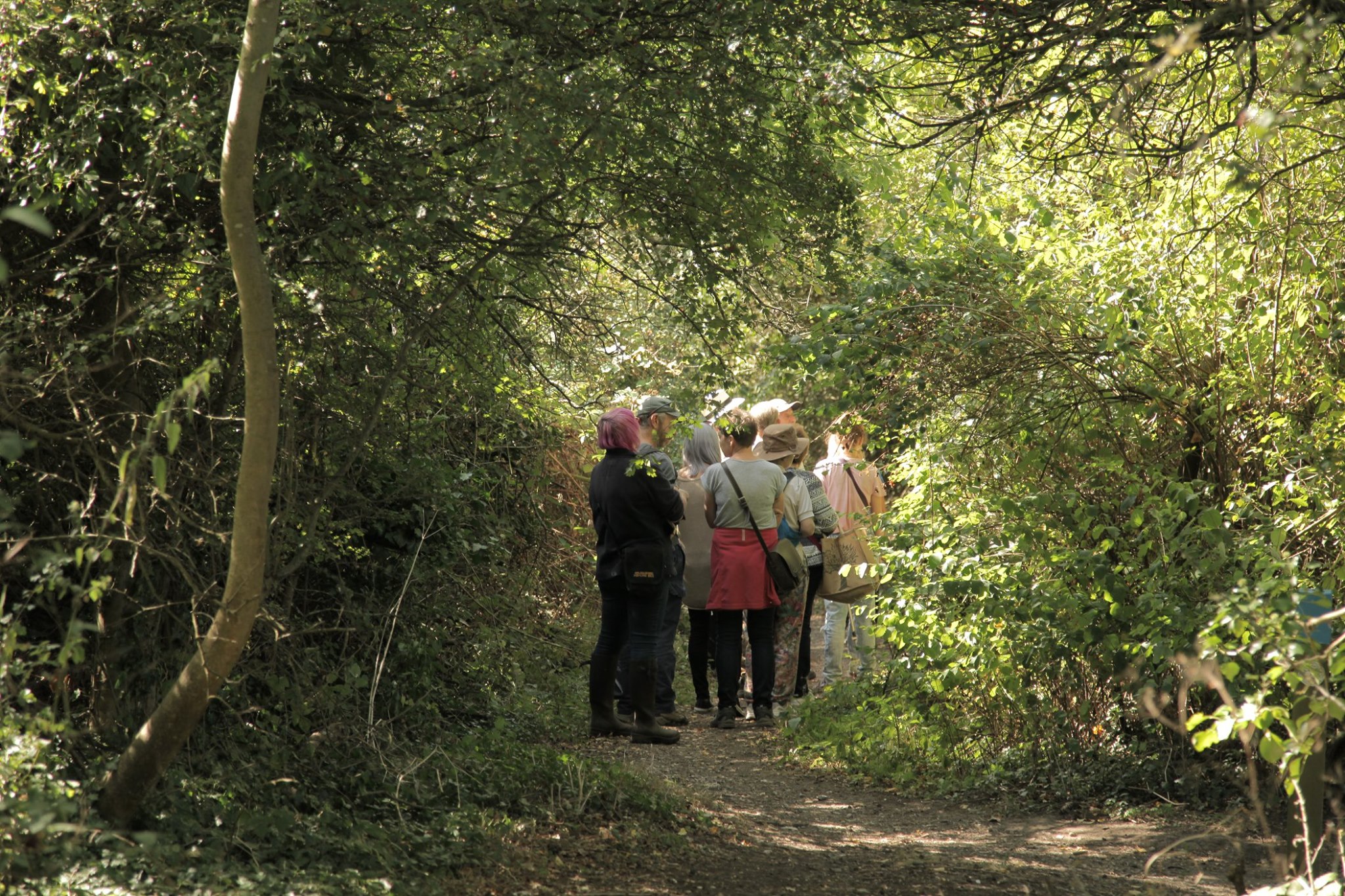 guided-walk-summer – Friends of Horsenden