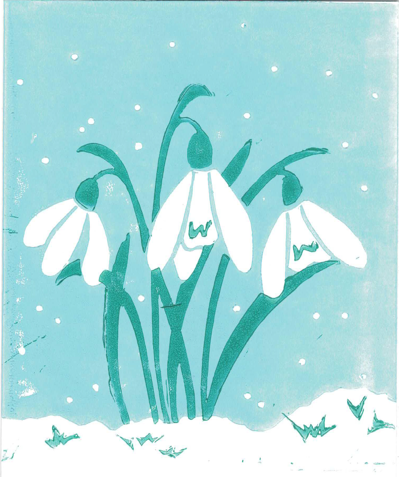 snowdrop colour – Friends of Horsenden