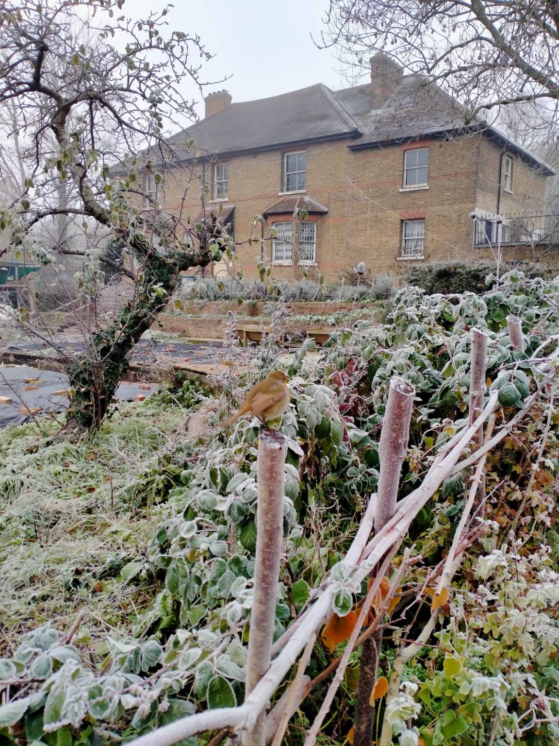 Horsenden Farm – Friends of Horsenden